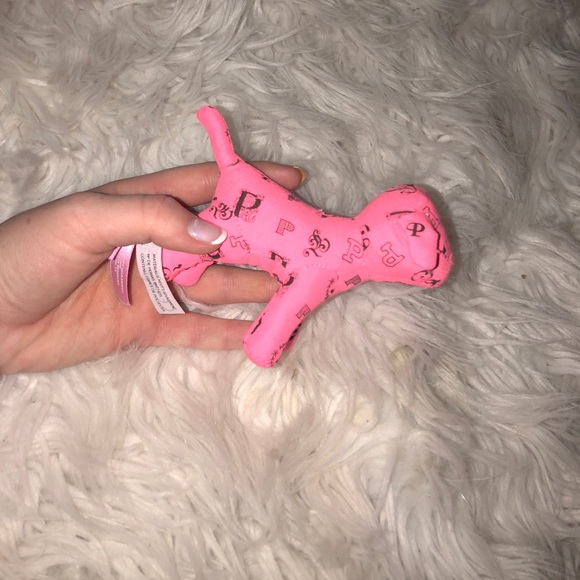 PINK Victoria's Secret | Other | Rare Mini Victorias Secret Pink Dog ...